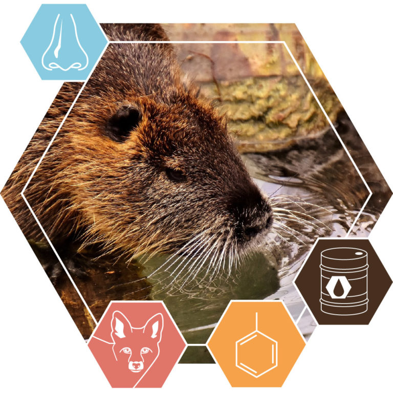 Fragrance raw material Archives - Page 5 of 26 - Hekserij