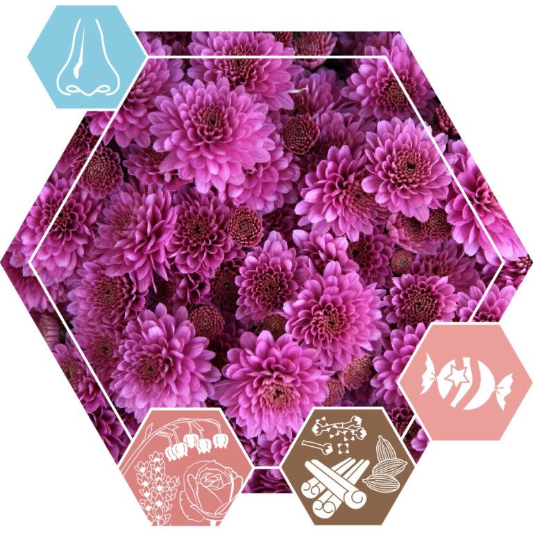 Fragrance raw material Archives - Page 3 of 26 - Hekserij